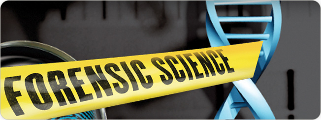 Eye on the Courts: Did We Get Sucked in on the Forensic Evidence in ...