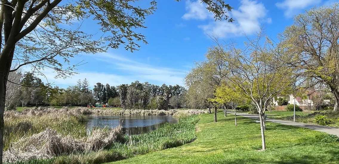 Sunday Commentary: Village Farms – Not Dense Enough or Too Dense ...