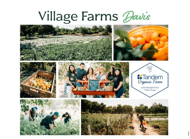 Village Farms Davis to Host Community Event Showcasing Local ...