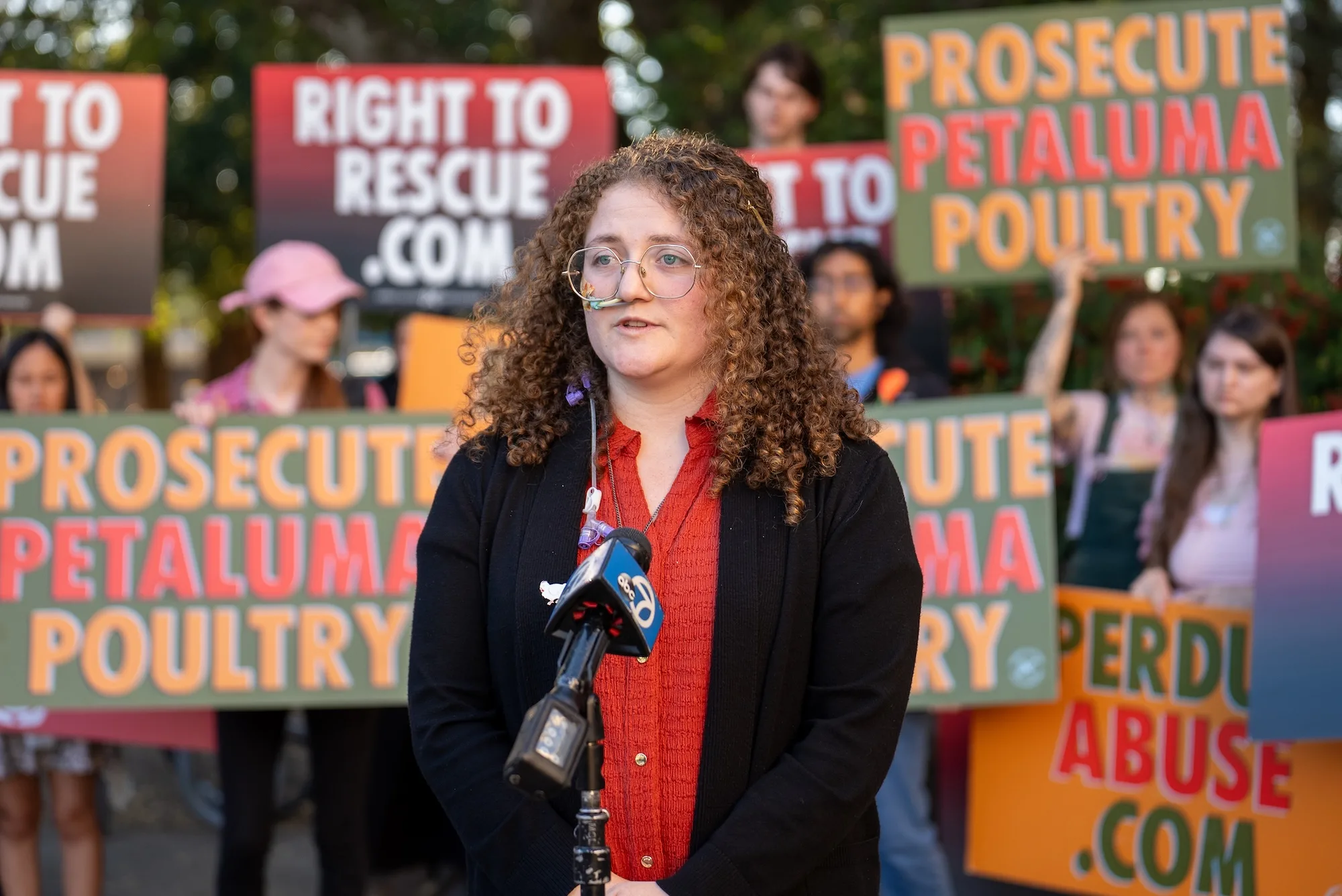 Animal Rescuer Zoe Rosenberg Sentenced to 90 Days for Saving Chickens ...
