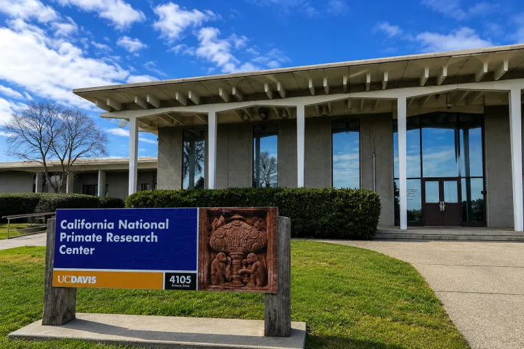 USDA Cites UC Davis for Primate Injuries and Inadequate Housing - Davis ...